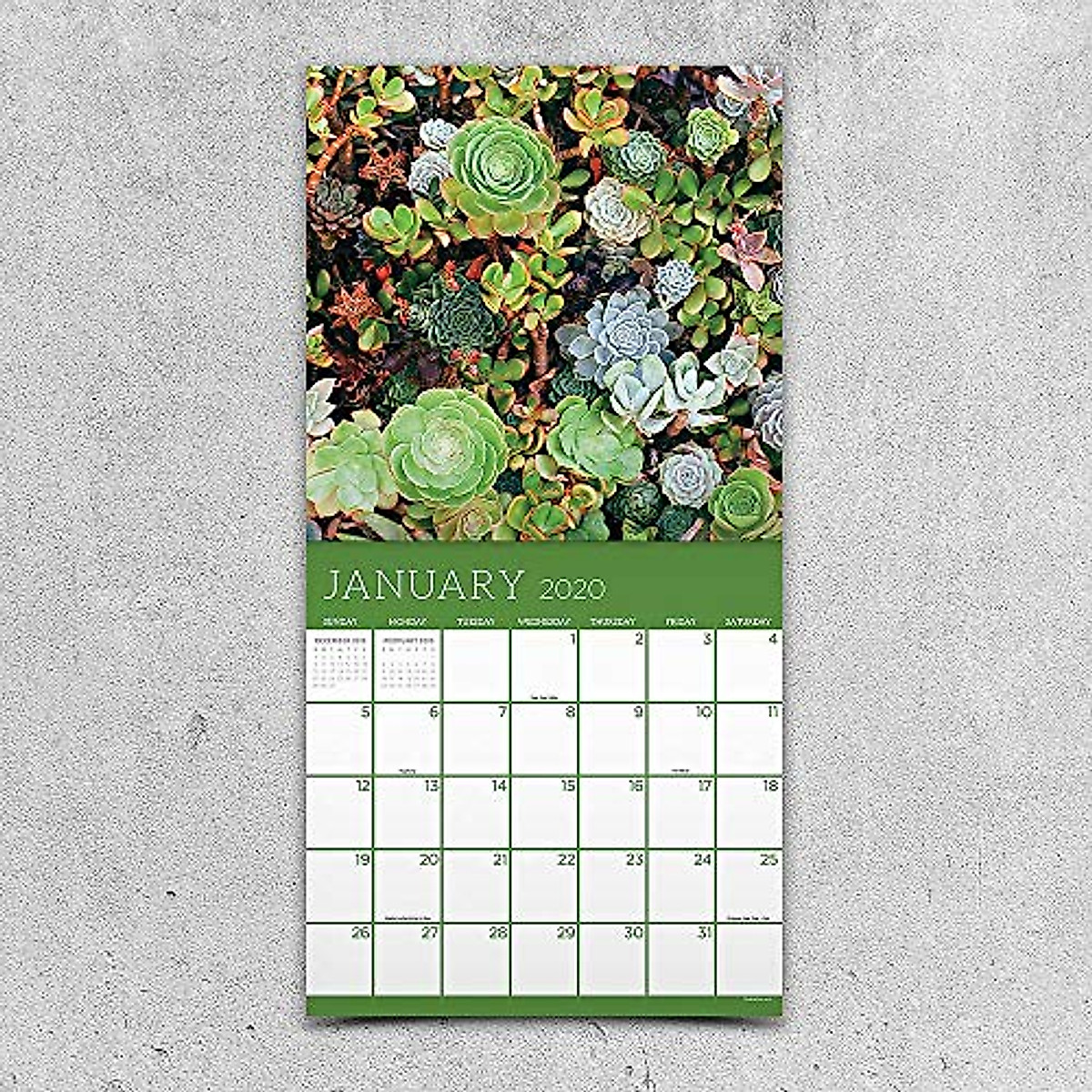 2020 Succulents Wall Calendar