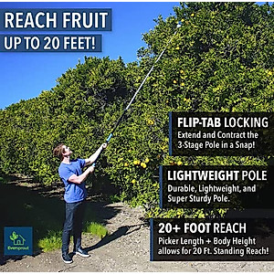 EVERSPROUT 12-Foot Fruit Picker (20+ Foot Reach) | Telescoping Fruit Picker Pole, Easy to Attach Twist-On Apple Basket | Lightweight, High-Grade Aluminum Extension Pole with Fruit Picker Basket