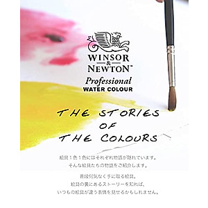 Windsor & Newton Artists Water 5ML Tube 12C Set (Japan Import)
