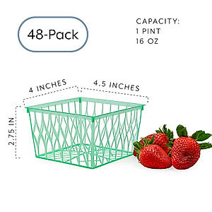Cornucopia Pint Size Plastic Berry Baskets (48-Pack), 4-Inch Berry Boxes with Open-Weave Pattern, Ideal for Summer Picking & Crafts! (48 Boxes)
