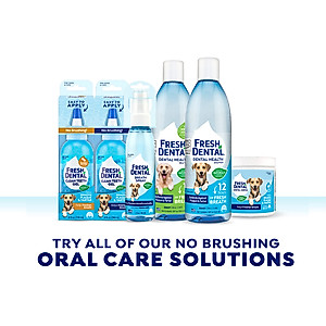 Naturel Promise Fresh Dental Water Additive - Dental Health Solution for Dogs - Easy to Use - Helps Clean Teeth - Freshens Breath Up to 12 Hours - No Brushing Required - 18 Fl Oz, 1 Pack