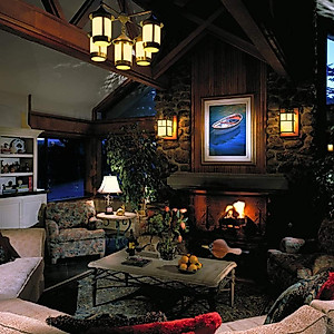 goldblue 15.5" x 6.5" Fireplace Wood Bellows Fireplace Bellows Outdoors Barbeque Grill Chimney Hand Bellow, Wood Bellows