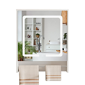 Lighted Medicine Cabinet with Mirror, Single Door Bathroom Mirror with Storage & Adjustable Shelves, Mirror Medicine Cabinet Wall Mounted with LED Lights, USBs, Towel Bar (22.8*6.1, Shelves)