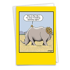 NobleWorks - 1 Hilarious Cartoon Birthday Card with Envelope - Funny Cartoons, Bday Congrats Greeting - First-Class Birds C3347BDG