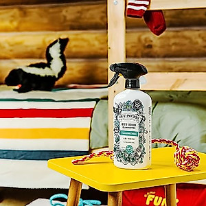 Pet-Pourri Pet Odor Air + Fabric Odor Eliminator Spray, Pawsitively Fresh, 16 Fl Oz