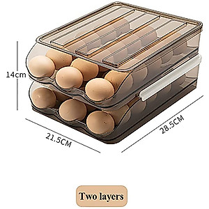 ZYDZ Automatic Rolling Egg Holder for Refrigerator, Fridge Organizers and Storage Space Saver Tray Container Bins Box (Two Layers)