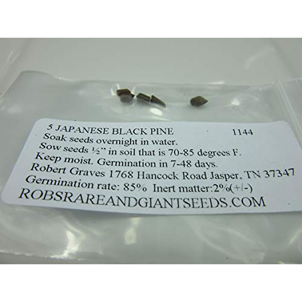 1144-Japanese Black Pine Tree (Pinus thunbergii) Seeds by Robsrareandgiantseeds UPC0764425787693 Bonsai,Non-GMO,Organic,Historic Plants,Sacred, 1144 Package of 5 Seeds