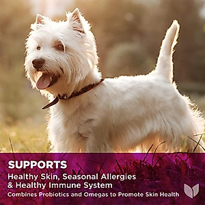 Hyland's Naturals - Pro Skin Health for Dogs, 90 Soft Chews, Supports Healthy Skin, Seasonal Allergies & Immune System, with Probiotics & Omega-3s, Trout Flavor