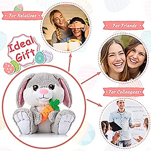 Chalyna 8 Inch Easter Plush Bunny Rabbit Stuffed Animal Gray Floppy Ear Sitting Bunny Huggable and Washable Bunny Plush Toy Gift for Kids Girls Boys Birthday Easter Stuffers Birthday Party Supplies
