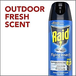 Raid Flying Insect Killer (15 OZ (Pack - 6))
