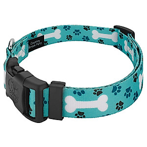 Country Brook Design - Oh My Dog Deluxe Dog Collar - Made in The U.S.A. - Dog's Life Collection featuring Playful Designs (1 Inch, Medium)