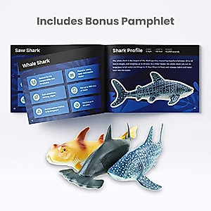 Boley Shark Toys - 8 Pack 10" Long Soft Plastic Realistic Shark Toy Set - Toddler Sensory Toys and Birthday Party Favors for Kids