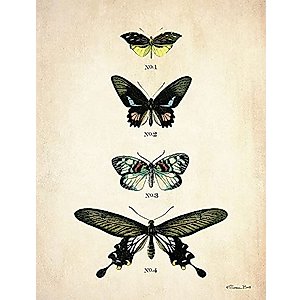 Posterazzi PDXSB889SMALL Artwork, Medium, Multi