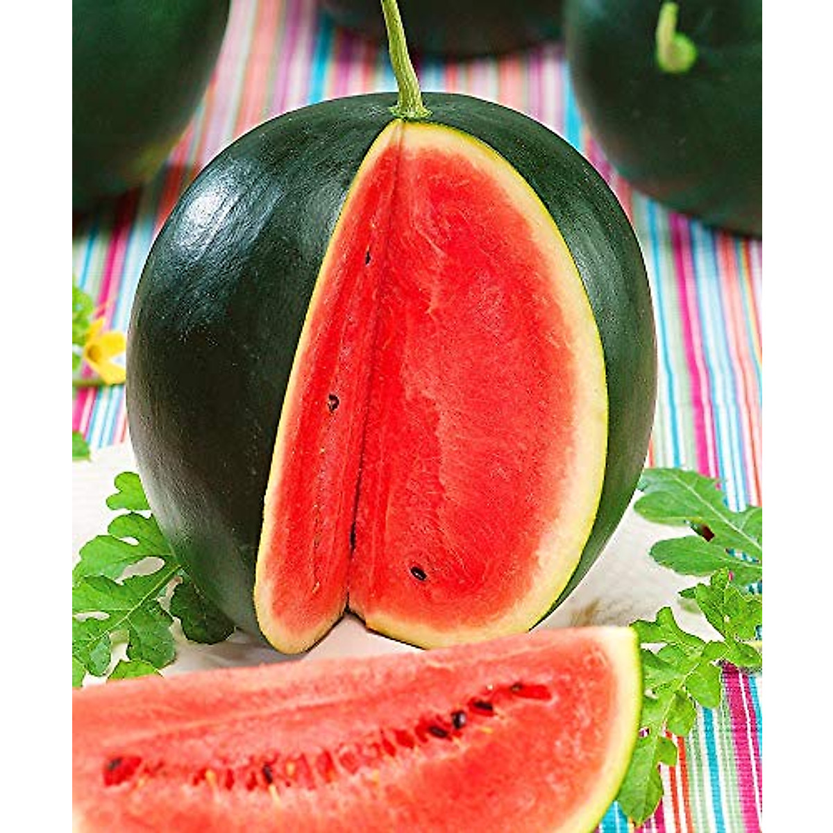 CEMEHA SEEDS Watermelon Black Beauty Early Rare Giant Fruit Heirloom Organic Non-GMO