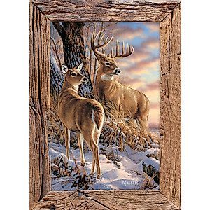 HTL Card-Boxed-Birthday-Whitetail Deer (Box of 12)