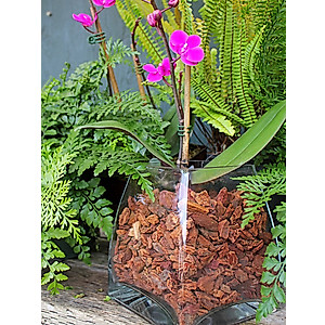 SuperMoss (23114) Orchid Potting Bark, Natural, 4 quarts