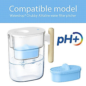 Waterdrop Replacement Filters for All Waterdrop Pitcher Filtration System, WD-PF-01A Plus 3 Packs & WD-PF-AL Alkaline Filters 3 Packs