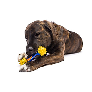 Hartz Chew 'n Clean Bounce & Bite Bacon Flavored Dental Dog Chew Toy and Treat - Large