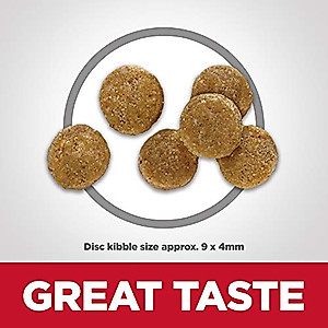 Hill's Science Diet Senior 7+ No Corn, Wheat or Soy Dry Cat Food, Chicken Recipe, 3.5 lb. Bag