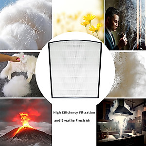 Replacement Filter Compatible with Live-Pure Bali Series LP550TH, LP550THP Multi-Room Whole House Large Console Air Cleaner Purifier, 1 Pack H13 True HEPA Filter + 4 Pack Carbon Filters