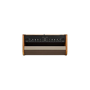 Fender Acoustic Guitar Amp, 100 Watts, with 2-Year Warranty Bluetooth Speaker, 8 Inch Full-range Speaker, 14Hx18.5Wx9.25D inches, Wood, Natural Blonde