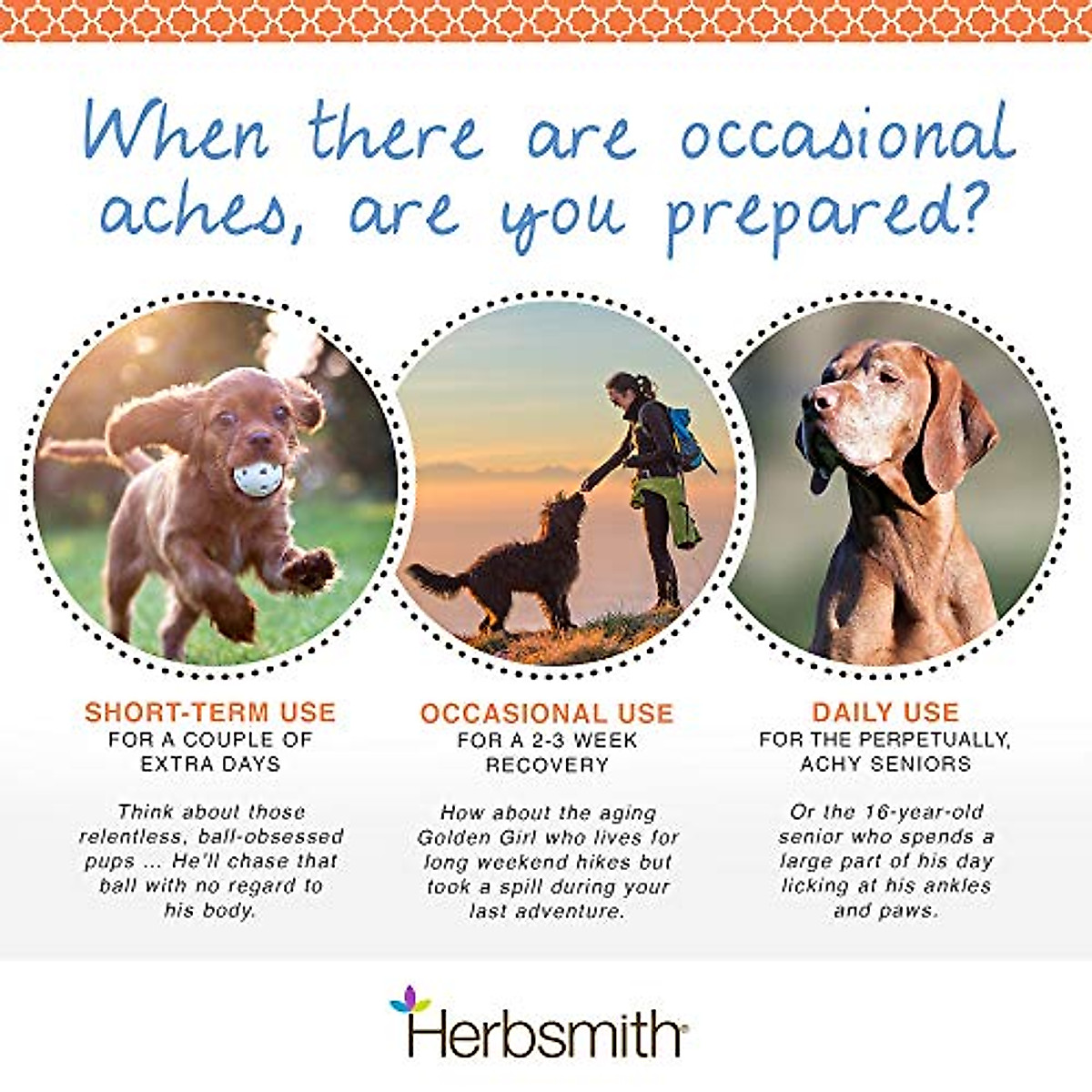 Herbsmith Comfort Aches – Herbal Pain Relief for Dogs + Cats – for Pet Aches + Pains – Anti-Inflammatory Supplement – 20 Tablets