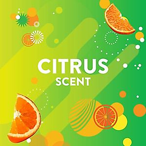 Scrubbing Bubbles Fresh Brush Flushables Refill, Toilet And Toilet Bowl Cleaner, Eliminates Odors And Limescale, Citrus Action Scent, 10ct