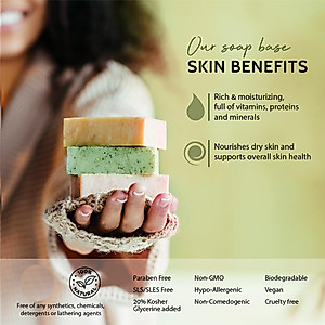 Pifito Melt and Pour Soap Base Sampler (7 lbs) │ Assortment of 7 Bases (1lb ea) │ Argan Oil, Avocado Oil, Castor Oil, Charcoal, Tea Tree Oil, Goats Milk, Aloe Vera │ Glycerin Soap Making Supplies