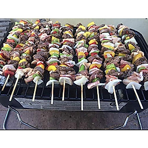 Duke Grills Omaha Go Anywhere Portable Gas Grill - Mini BBQ Propane Grill for Camping, RV, Tailgate - Cooks 8 hamburgers at once - Long Life Steel - Foldable Legs