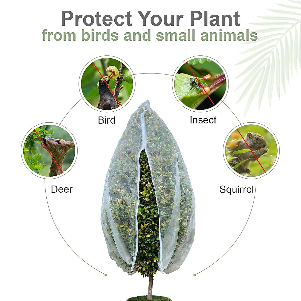 Homoda Fruit Tree Netting Cover with Zipper and Drawstring, 2 Packs 8 x 8 ft Insect Bird Barrier Netting for Garden Protection, Ultra Fine Mesh Garden Netting