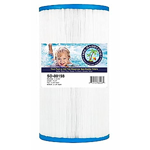Spa-Daddy SD-00198 Filter - Rainbow Dynamic 35 | Dynamic Series IV - DFM | DFML | Waterway 35 | in-Line - Replaces PRB35-IN | FC-2385 | C-4335
