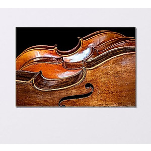Three Beautiful Cellos Canvas Print 5 Panels / 36x24 inches