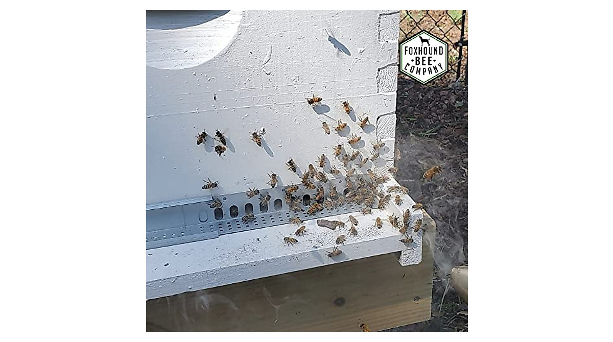 Bee Hive Entrance Reducer – Stainless Steel & Universal Fit