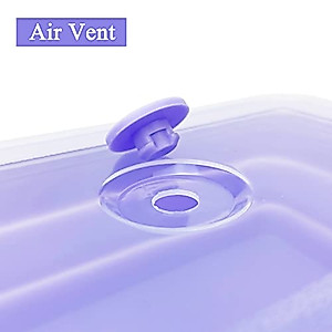 Lunbengo Purple Collapsible Sandwich Container, Silicone Lunch Container Bento Box with Plastic Lid, Microwave Safe, Camping Bowl For Meal Prep, Travel and Hiking, 40oz/1200ML