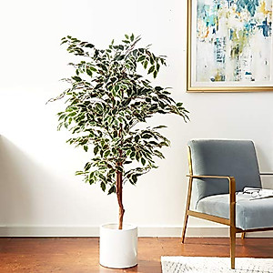 Ficus Artificial Tree - Fake Plant with Variegated Leaves and Natural Trunk - 5-Foot-Tall Topiary Decor for Indoor or Outdoor Use by Pure Garden