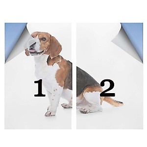 Cinnamon White Window Privacy Film Frosted Glass Window Film Stained Glass Window Film Window Cling Privacy Film UV Blocking Beagle Dog Posing Frosted Glass Film 27.6Wx47.2L-inch x2 Pcs