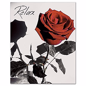 NOROUOV Modern Red Rose Flowers on Gray Books Wall Art Paintings Set of 4 (8X10” Canvas Picture) Relax Breathe Wash Unwind for Bathroom Bedroom Living Room Home Decor No Frame