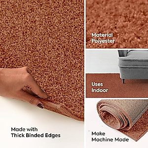 Furnish my Place Modern Plush Solid Color Rug - Rust, 2' x 3', Pet and Kids Friendly Rug. Made in USA, Area Rugs Great for Kids, Pets, Event, Wedding