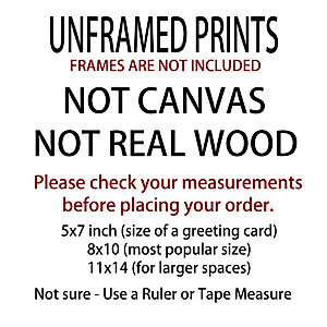 Safari Animals Baby Boy Nursery Wall Art Blue Elephant Giraffe Lion Decor 3 UNFRAMED PRINTS