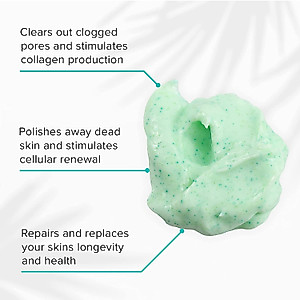 ClarityRx Get Clean Crushed Bamboo Facial Exfoliator, Natural Plant-Based Gentle Exfoliating Cleanser, Paraben Free, Cruelty Free (1.7 oz)