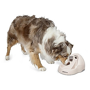 Petmate Fresh Flow Deluxe Replacement Pump 120V - Easy Install - AC Adapter and Cord Included (29027)