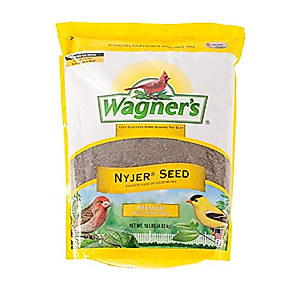 Wagner's 62050 Nyjer Seed Wild Bird Food, 10-Pound Bag