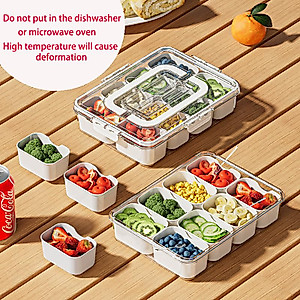 Snackle Portable Charcuterie Container, Upgraded Divided Serving Tray With Lid and Handle, Disposable Fork and Spoon Storage Box for Party, Travel, Kitchen Seasoning Organizer