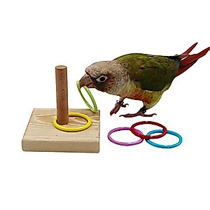 Retyion Wooden Bird Educational Toys Small Medium Parrot Intelligence Training Toys for Lovebird Parakeet Cockatiel Budgie (Rings Toys)