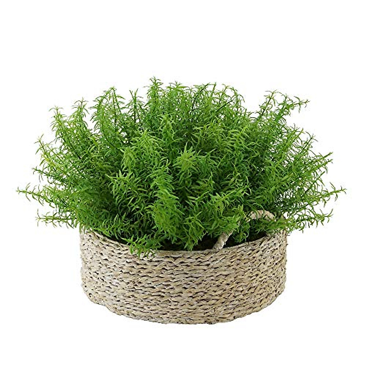 House of Silk Flowers Faux Rosemary Grass in Large Seagrass Tray Basket (White-Wash Seagrass)