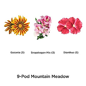 AeroGarden Mountain Meadows Flower Seed Pod Kit (9-pod), Pink/Yellow