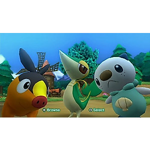 PokePark 2: Wonders Beyond - Wii (Renewed)