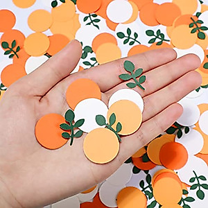 Little Cutie Baby Shower Confetti Sprinkle Baby Shower Confetti with Eucalyptus Decorations Hey Cutie Citrus Tangerine Themed Table Scatter Confetti for Baby Shower Supplies (200 Pcs,Orange Series)