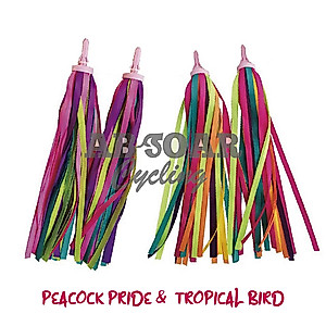 ABSOAR Cycling Colorful Bike Streamer Girls Boys Kids Bicycle Tassel Ribbon Handlebar Scooter Streamers 2 Pairs (Tropical Bird & Peacock Pride)