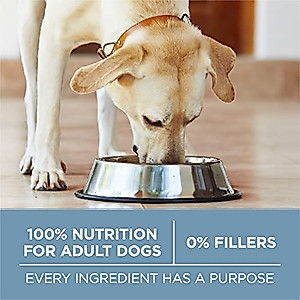 Purina ONE Plus Joint Health Formula Natural With Added Vitamins, Minerals and Nutrients Dry Dog Food - 16.5 lb. Bag